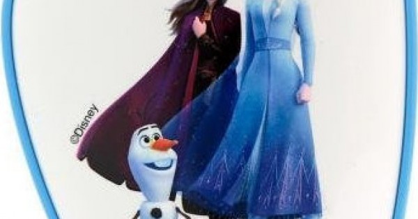 DESSATA DISNEY FROZEN 2 DETANGLING HAIR BRUSH